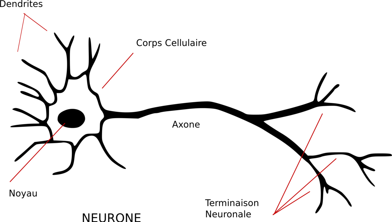 Tensorflow Playground - Apprendre le Deep Learning